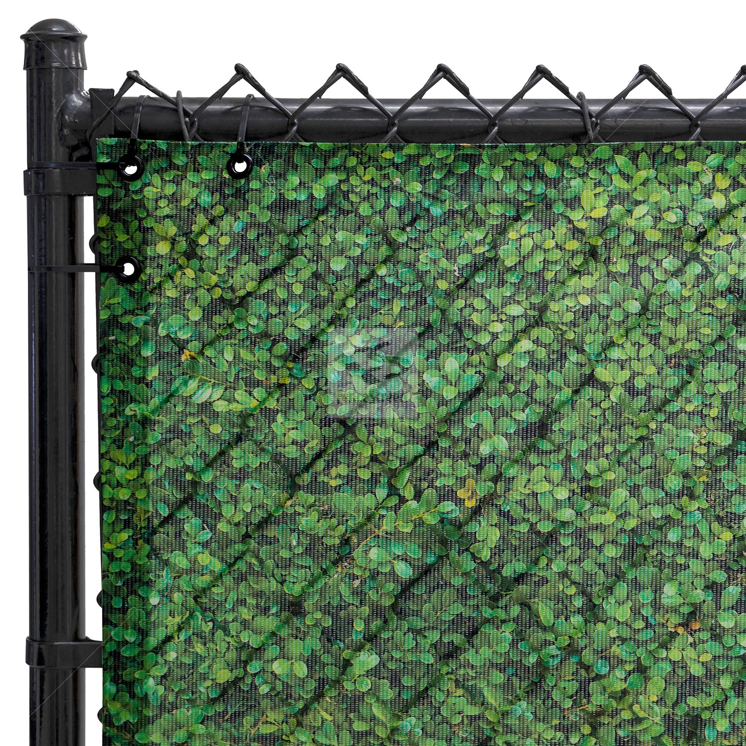 Boxwood Hedge Designer Scenic Fence Screen