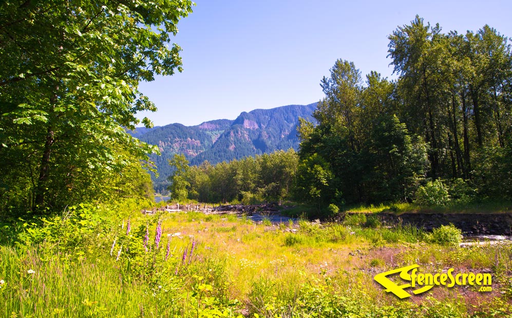 Meadow With River Patio Backdrop Screen