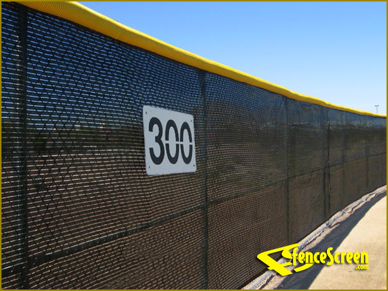 Windscreen Baseball at Charles Casale blog