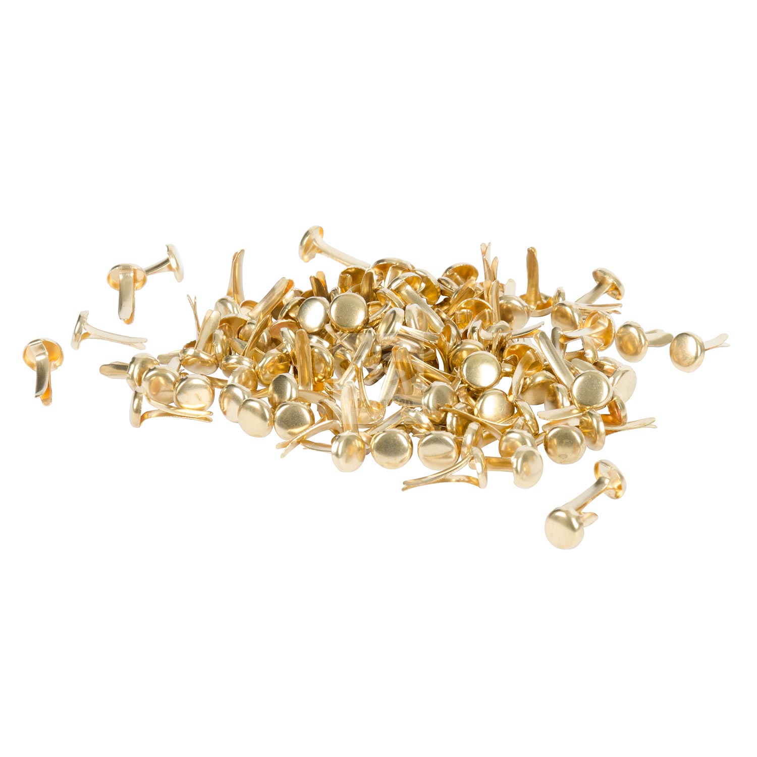 Solid Brass Fasteners at Beverly Henson blog