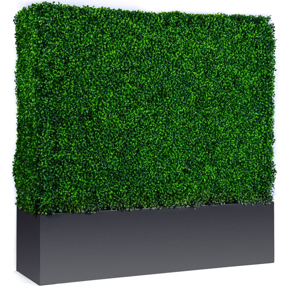 4-ft Freestanding Boxwood Hedge With Black Planter Box